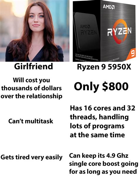When Amd Is So Good You Dunk On Real Life Instead Of Intel R Ayymd