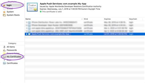 APNS Setup Rover Documentation