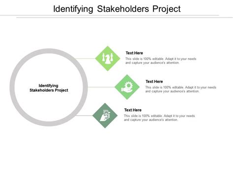Identifying Stakeholders Project Ppt Powerpoint Presentation Styles Master Slide Cpb