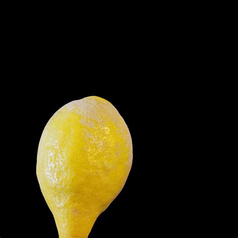 Lemon Detection Object Detection Dataset By Lemon Classification AI