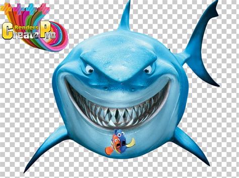 Nemo Bruce Shark