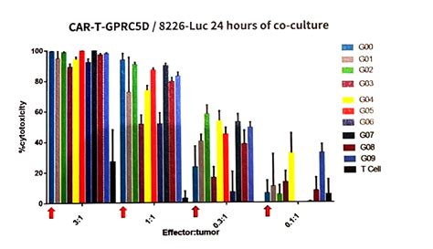 Anti Gprc5d Car T Cell Therapy For Multiple Myeloma Protheragen
