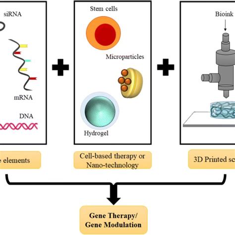 Schematic Presentation For 3d Bioprinting Methods Download Scientific Diagram Schematic Presentation For 3d Bioprinting Methods Download Scientific Diagram