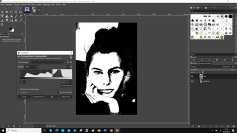 Pop Art Effekt Mit Gimp So Geht S CHIP