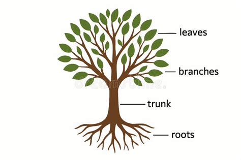 Isolated Tree Parts Stock Illustrations 1801 Isolated Tree Parts
