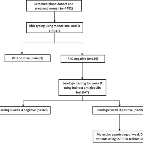 Recruitment And Testing Algorithm For Weak D Variants Download