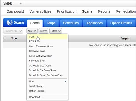 Internal Scanning Using Virtual Scanner Appliances
