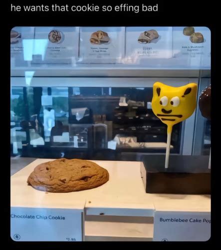 Atomic Structure Quiz Flashcards Quizlet