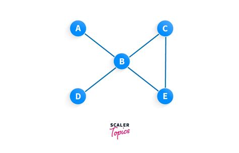 types of graph in data structure with examples scaler topics