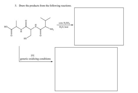 Solved 5. Draw the products from the following reactions. | Chegg.com