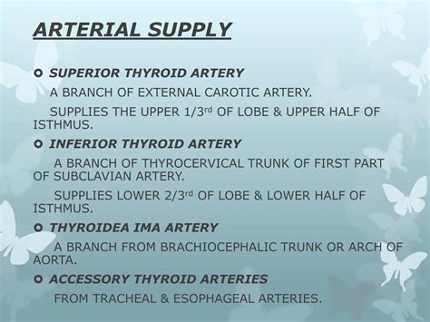 Thyroid Surgical Anatomy Pptx