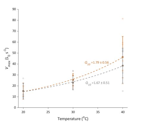 Maximum Shortening Velocity Extrapolation Of Dtb Muscle To Body
