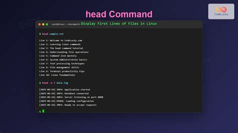 Sort Command In Linux Complete Guide To Sorting Text Files And Data Codelucky