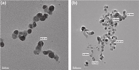 Tem Image Of Spherical Shaped Silver Nanoparticles At 20 Nm A And 50