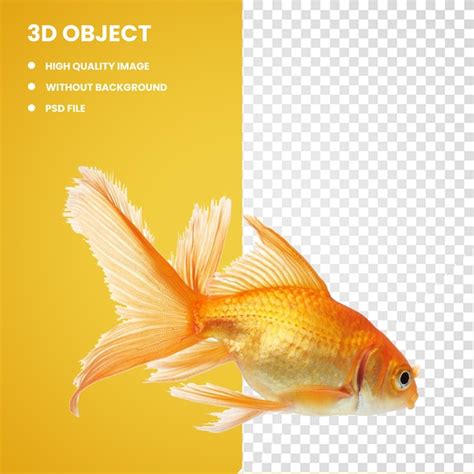 Premium Psd 3d Koi Carassius Auratus Aquarium Fish Feed Aquarium Fish