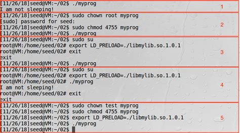 Seed Labs Software Security