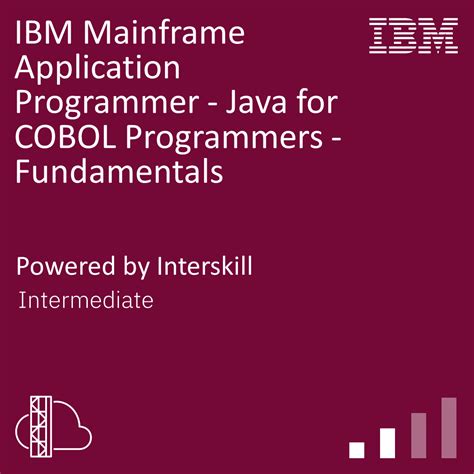 Interskill Ibm Mainframe Application Programmer Java For Cobol Programmers Fundamentals