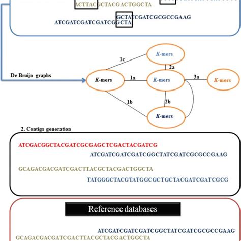 genome assembly and annotation algorithms based on de bruijn graphs download scientific