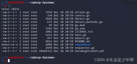 Cve 2019 11043（php远程代码执行漏洞）复现 Csdn博客
