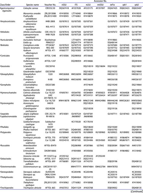 Information Of Collections Used In Phylogenetic Analyses Download Scientific Diagram