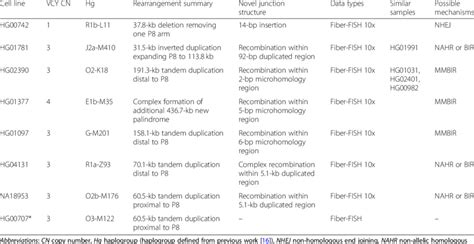 Characteristics Of Structural Rearrangements Involving Palindrome P8