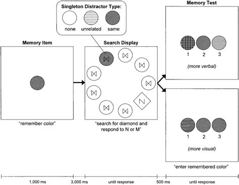 Schematic Representation Of The Stimuli And Procedure Of Experiment 2 Download Scientific