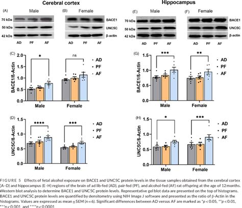E Sex F 1 5 11 1 P 0 0208 Treatment F 2 10 27 5 P