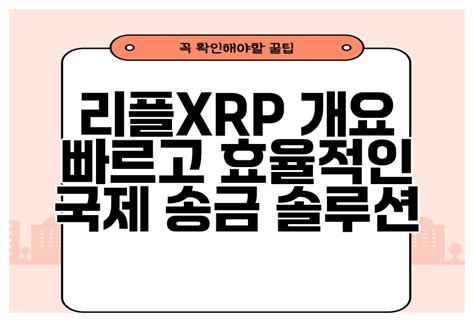 리플xrp 투자 가이드 4천원 돌파 가능성과 2025년 전망 장점과 위험 분석