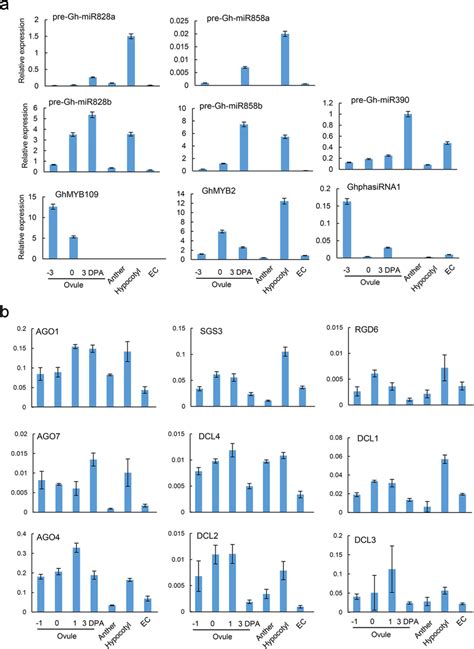 Expression Pattern Of Phasing Rna Triggering Mirna Their Targeting Download Scientific Diagram