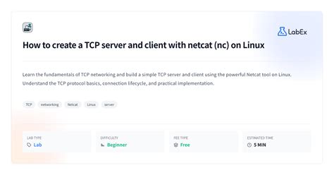 How To Create A Tcp Server And Client With Netcat Nc On Linux Labex