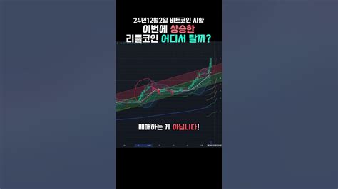 리플코인 막차 탑승 여기입니다 Youtube