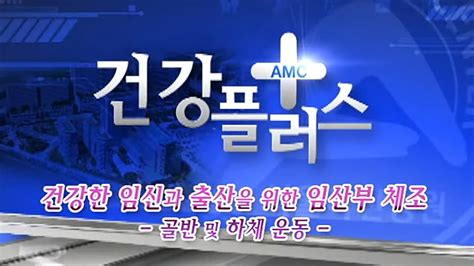 건강한 임신과 출산을 위한 임산부 체조 골반 및 하체운동 Youtube
