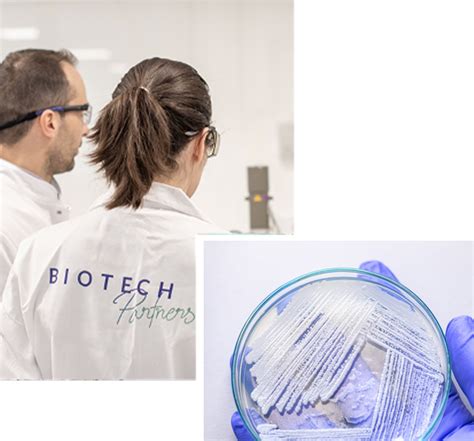 Cell Culture And Microbial Fermentation Applications Procelys By Lesaffre