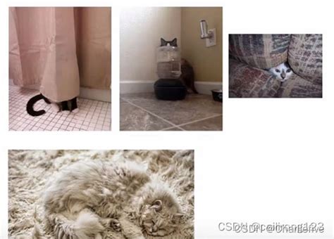 python3《机器学习实战》学习笔记（九）：ann人工神经网络基础详解 机器学习常规套路 收集数据并给定标签 csdn博客