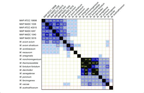 Similarity Coefficient Matrix For Mycobacteria Download Scientific Diagram