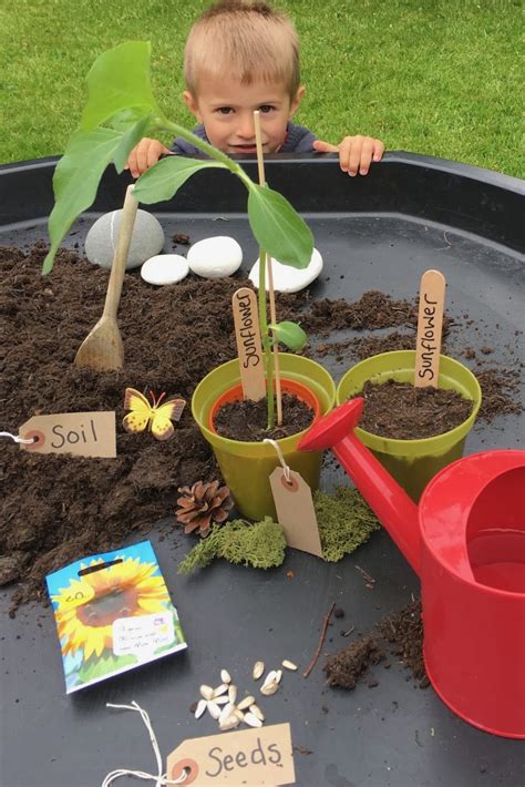Ways To Use Tuff Trays In The Early Years Famly