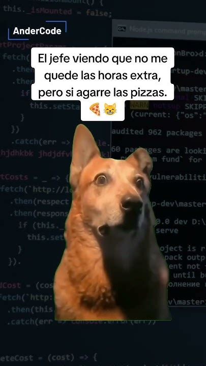 Meme Andercode Developer Programacion Python Novia Humor Esposa