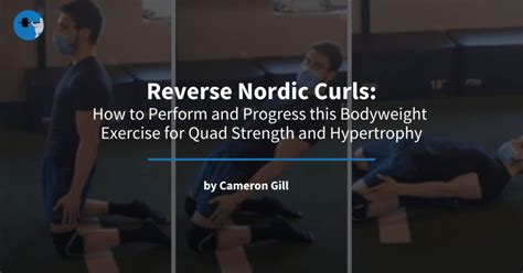 Reverse Nordic Curls How To Perform And Progress This Bodyweight