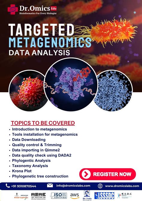 Metagenomics Bioinformatics Ngs Microbiome Omicstraining Dromicslabs Dromics Research Lab
