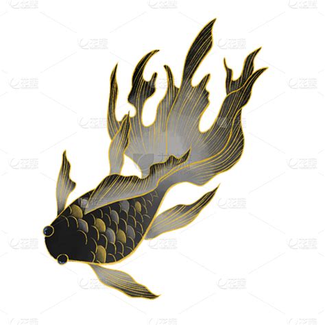 手绘 金鱼元素