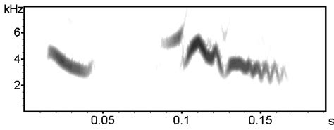 Selecting Appropriate Spectrogram Parameters Avisoft Bioacoustics