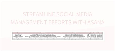 Streamline Social Media Management Efforts With Asana Excel Template