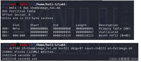 数据恢复实验（验证性实验）fat文件系统手动数据恢复；ntfs文件系统自动化数据恢复mmls 工具 Csdn博客