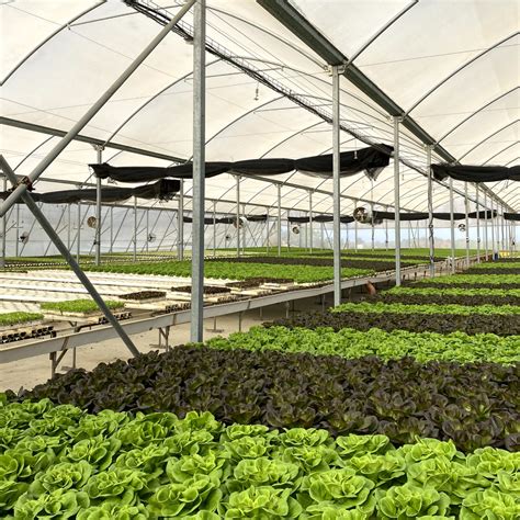 Fully Automated Greenhouse Growdirector