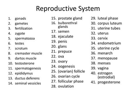 PPT Reproductive System PowerPoint Presentation Free Download ID