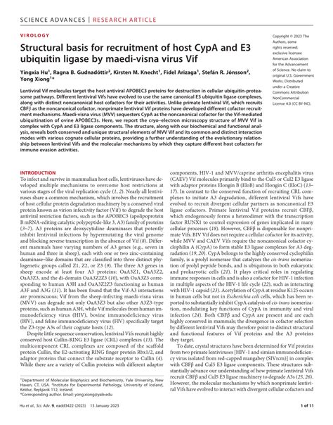 Pdf Structural Basis For Recruitment Of Host Cypa And E3 Ubiquitin