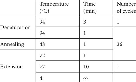 Pcr Cycle Procedures Download Table