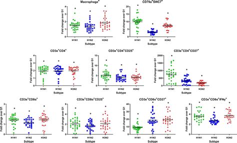 In Vitro Cell Proliferation Assay Immune Cells In The Splenocyte