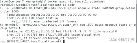 Docker【java 高级】3 阿里云开发者社区