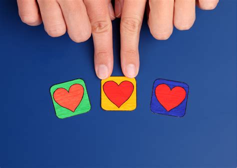 Surrogate Matching Process Brilliant Beginnings